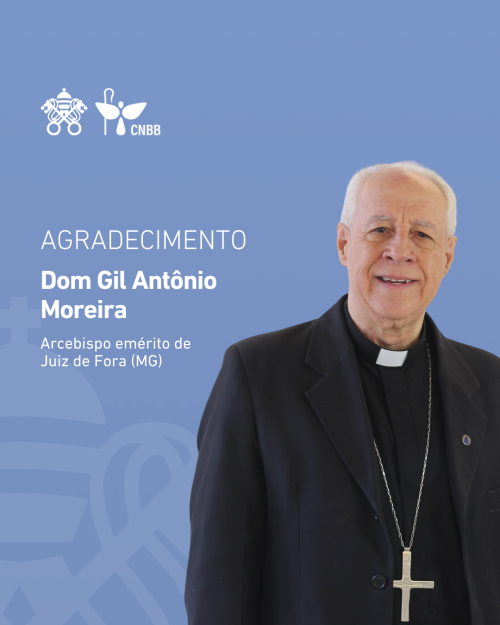 PAPA LEÃO XIV ACEITA RENÚNCIA DE DOM GIL ANTÔNIO E NOMEIA NOVO ...